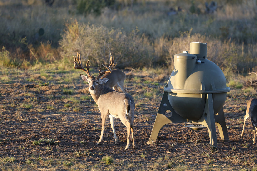Our History – Forager Outdoor Products
