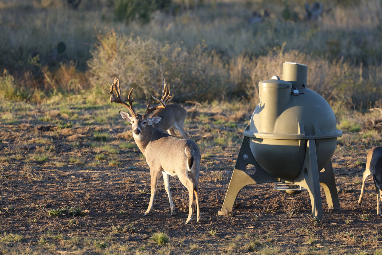 Our History – Forager Outdoor Products